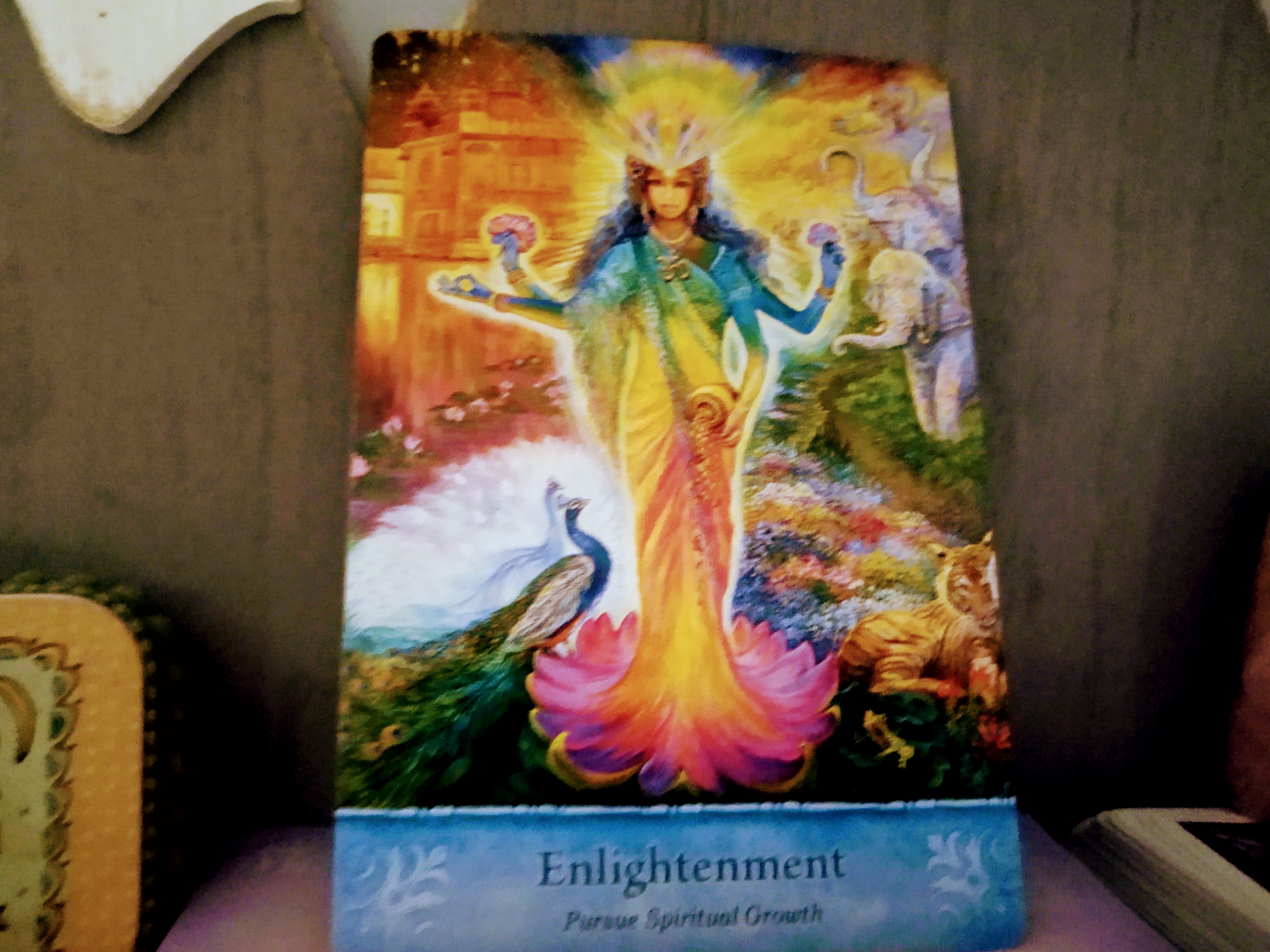 Card for the Day: Enlightenment – Natural Peace Living